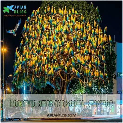 Parrots in California: Wild Birds Taking Over Urban Jungles!