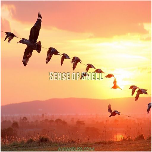 Migratory Bird Patterns: How Climate and Habitat Shape Their Journeys