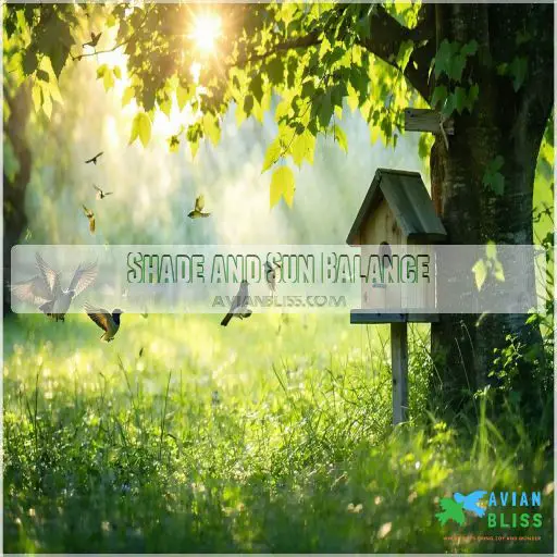 Bird House Placement Ideas: Expert Tips to Attract Backyard Birds