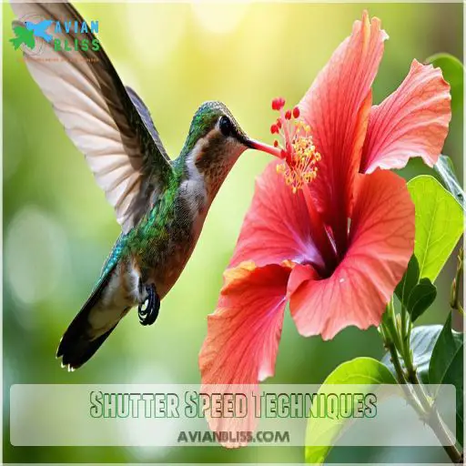 Best Camera Settings for Bird Photography: Pro Secrets Revealed!