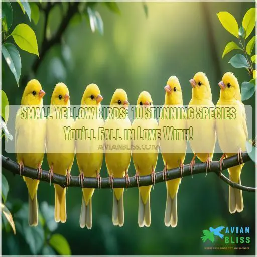 Small Yellow Birds: 10 Stunning Species You'll Fall in Love With!
