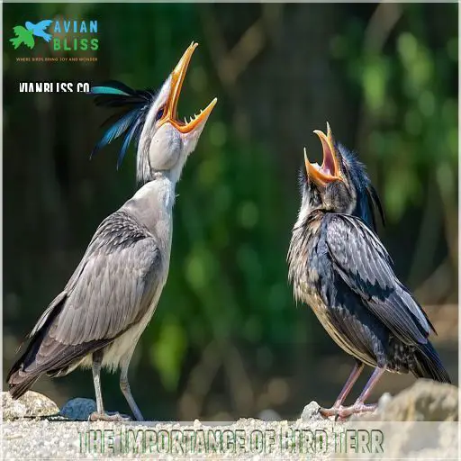 Bird Territorial Displays: Nature's Wild Battle for Survival Revealed