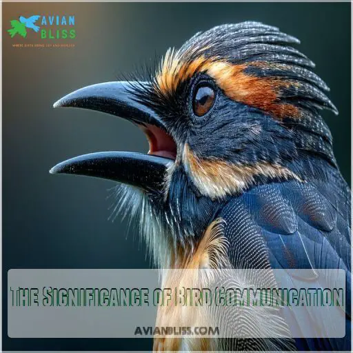 Bird Communication Calls: Secrets of Feathered Conversations Revealed!