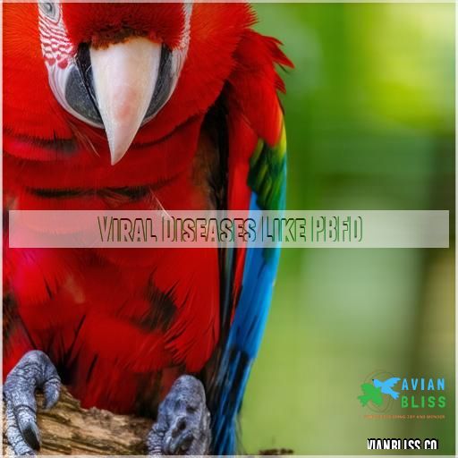 Bird Losing Feathers Disease: 7 Critical Signs You Can't Ignore in Pet ...