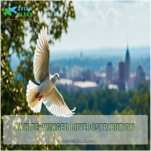 Doves in Pennsylvania: Species, Behaviors, and How to Attract Them
