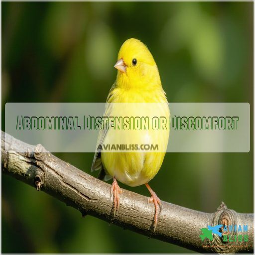 Bird Medications for Digestive Issues: Causes, Symptoms, and Treatment