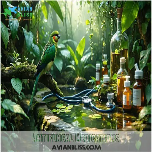 Best Bird Medications for Respiratory Infections: 7 Proven Treatments ...