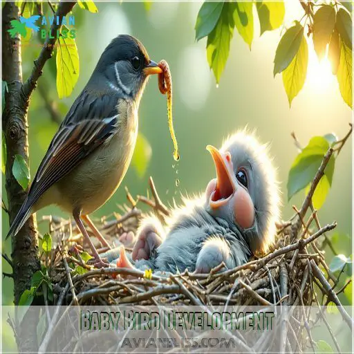 Fun Facts About Baby Birds for Kids: Growth, Care & Cool Bird Life