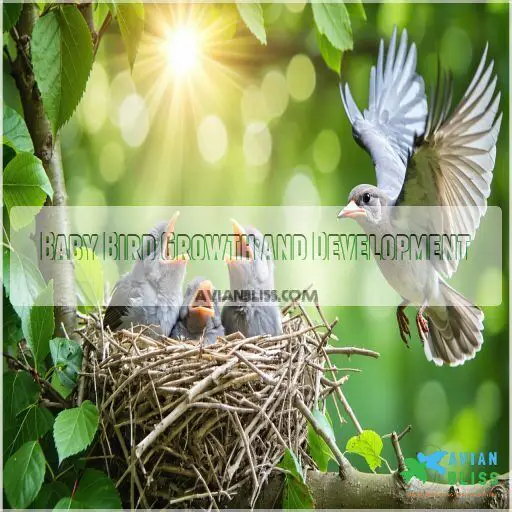 What Do Baby Birds Eat? Safe Foods, Tips, and When to Help