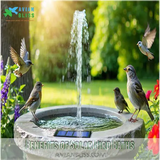 Bird Bath With Solar Fountain Pump: 8 Top Picks for 2025!