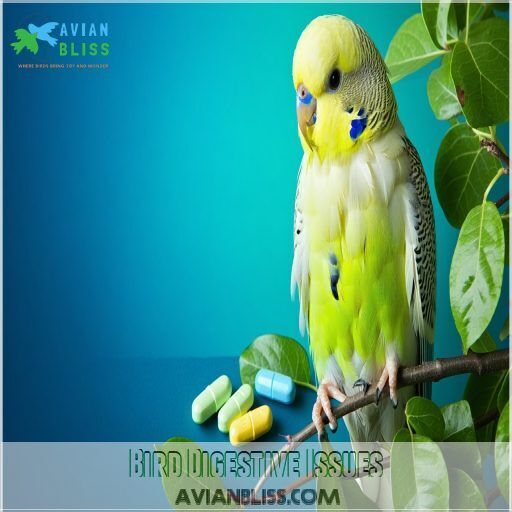 Bird Medications for Digestive Issues: Causes, Symptoms, and Treatment