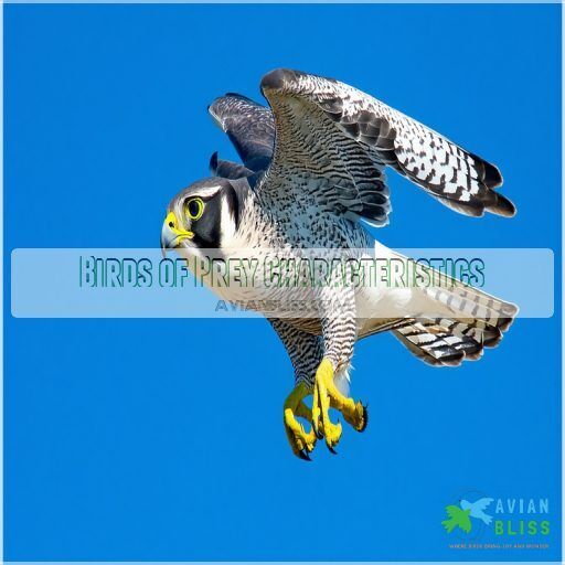 Birds of Prey Characteristics: 10 Secret Hunting Powers They Don't Want ...