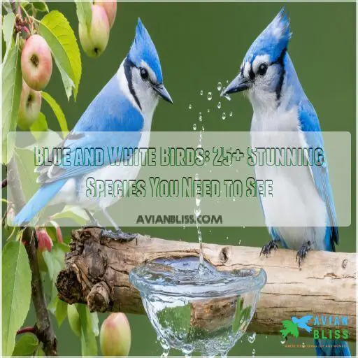Blue and White Birds: 25+ Stunning Species You Need to See
