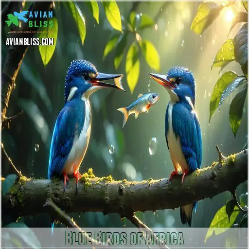Blue and White Birds: 25+ Stunning Species You Need to See
