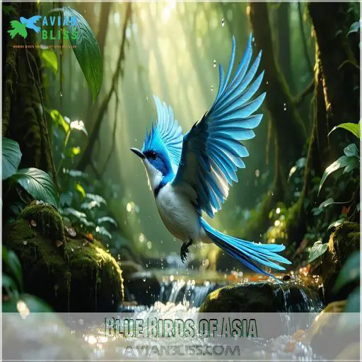 Blue and White Birds: 25+ Stunning Species You Need to See