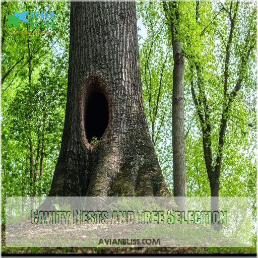 Birds Nesting in Trees: Types of Nests and Where to Spot Them