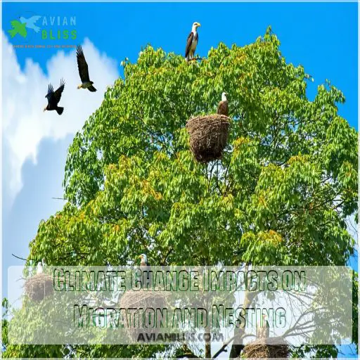 Protecting Endangered Birds Through Conservation: Key Strategies ...