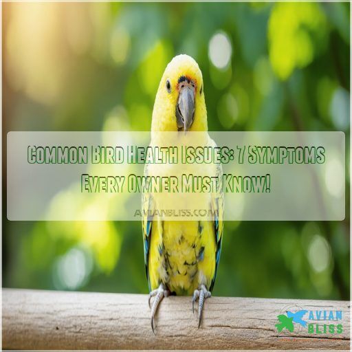 Common Beak Problems in Birds: Causes, Signs, and Prevention Tips