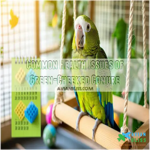 Green Cheek Conure: Complete Care Guide & Tips for a Happy Pet Bird 2025