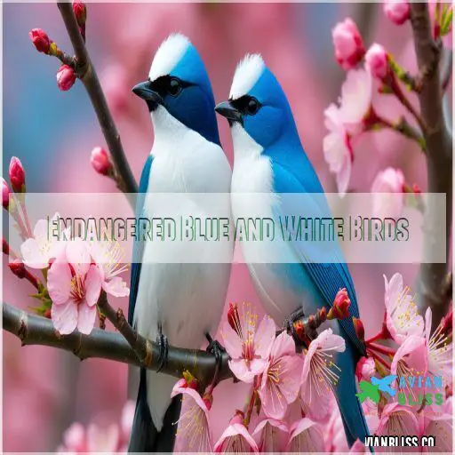 Blue and White Birds: 25+ Stunning Species You Need to See
