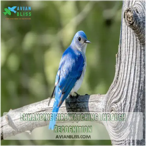 Blue and White Birds: 25+ Stunning Species You Need to See