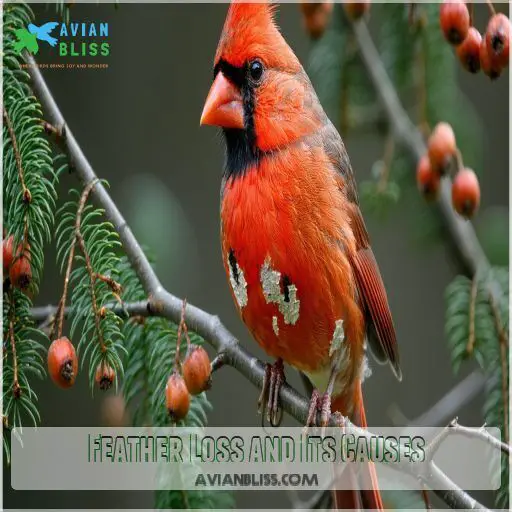 Common Bird Health Issues: 7 Symptoms Every Owner Must Know!