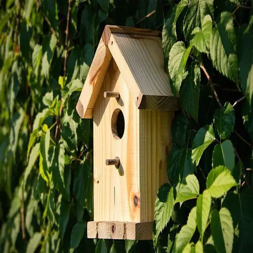 Rustic Cedar Bird House Large: Top 8 Picks to Attract Birds