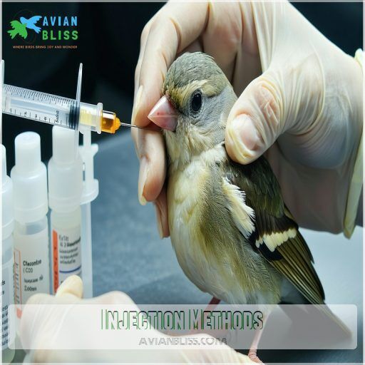 Top Medications for Injured Birds: Safe Treatments and Quick Recovery