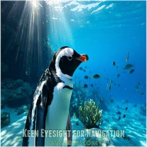 Cool Penguin Adaptations: 7 Mind-Blowing Secrets of Survival!