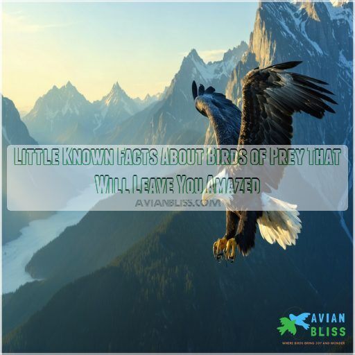 Little Known Facts About Birds of Prey That Will Leave You Amazed