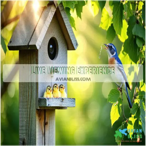 Best Bird House Camera for Live Viewing: Top 6 Tested & Reviewed (2025)