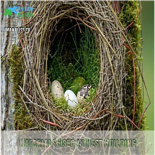 Bizarre Facts About Bird Nesting Habits That'll Shock You!