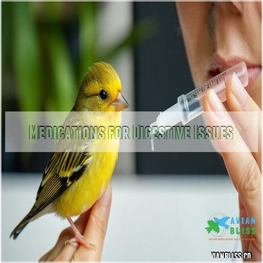 Bird Medications for Digestive Issues: Causes, Symptoms, and Treatment