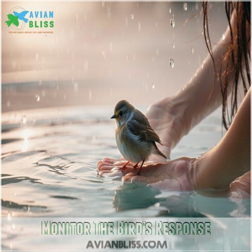 Bird Medications for Digestive Issues: Causes, Symptoms, and Treatment