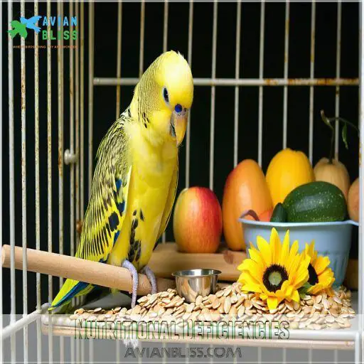 Common Bird Health Issues: 7 Symptoms Every Owner Must Know!