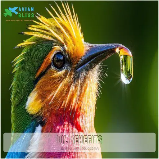 Healthy Bird Preening: Secrets of Perfect Feather Care Revealed!