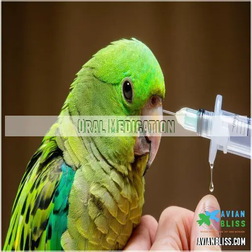 Top Medications for Injured Birds: Safe Treatments and Quick Recovery