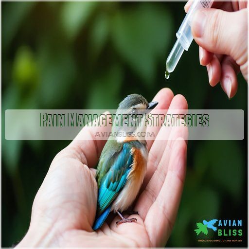 Top Medications for Injured Birds: Safe Treatments and Quick Recovery