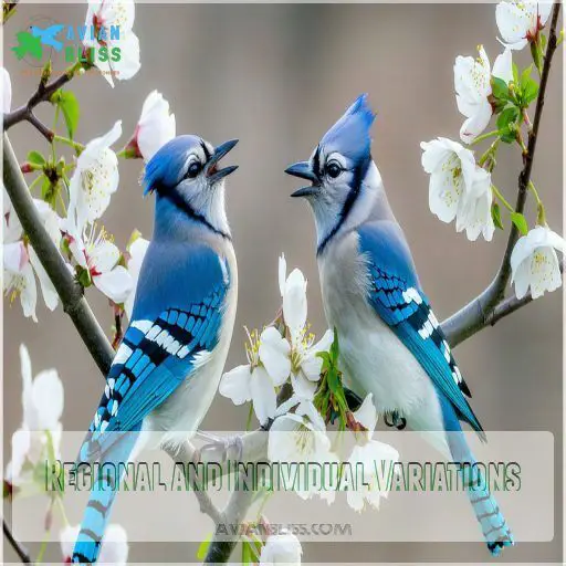 What Does a Blue Jay Sound Like? Calls, Mimics, and Vocal Behaviors