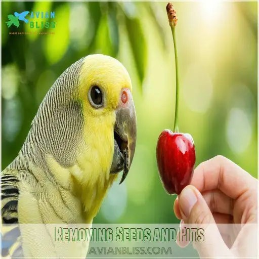Bird Food for Parakeets: Your 2025 Survival Guide to Healthy Feeding!