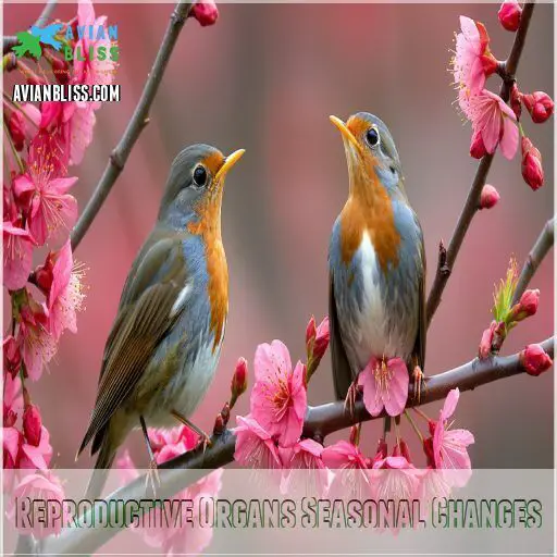 Do Birds Have Penises? The Surprising Truth About Bird Reproduction