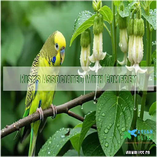 A Complete List of Foods Parakeets Can Eat and What They Shouldn’t