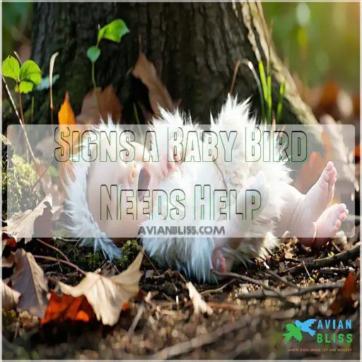 What Do Baby Birds Eat? Safe Foods, Tips, and When to Help