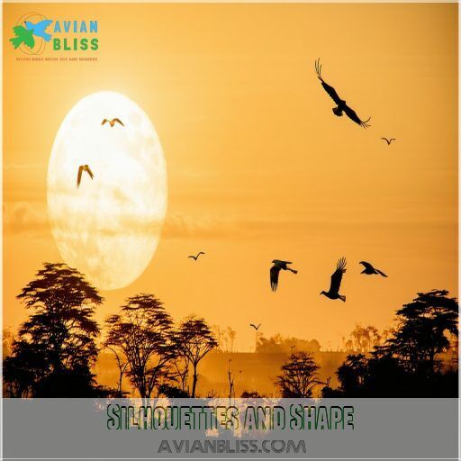 Bird Identification by Size: Simple Tips to Identify Birds Like a Pro