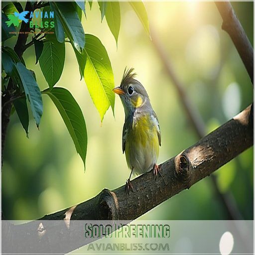 Healthy Bird Preening: Secrets of Perfect Feather Care Revealed!