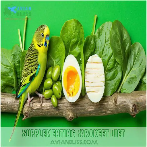 Bird Food for Parakeets: Your 2025 Survival Guide to Healthy Feeding!