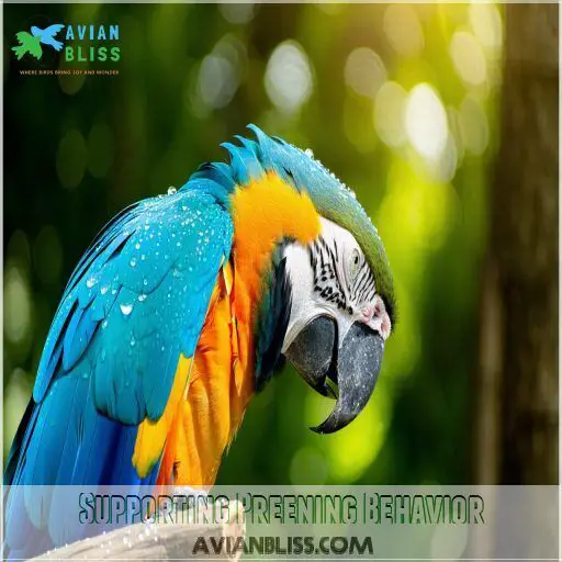Healthy Bird Preening: Secrets of Perfect Feather Care Revealed!