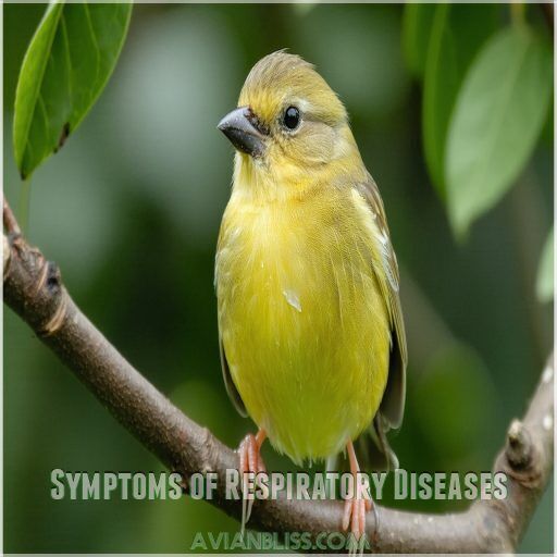 Common Bird Health Issues: 7 Symptoms Every Owner Must Know!