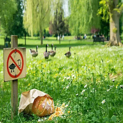What Do Geese Eat? 12 Foods They Love (and 5 to Avoid) in 2025