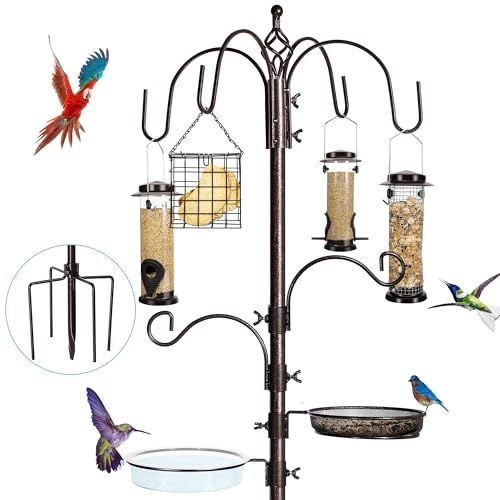 Bird Seed Feeding Stations: 9 Best Picks That Actually Work (2025)